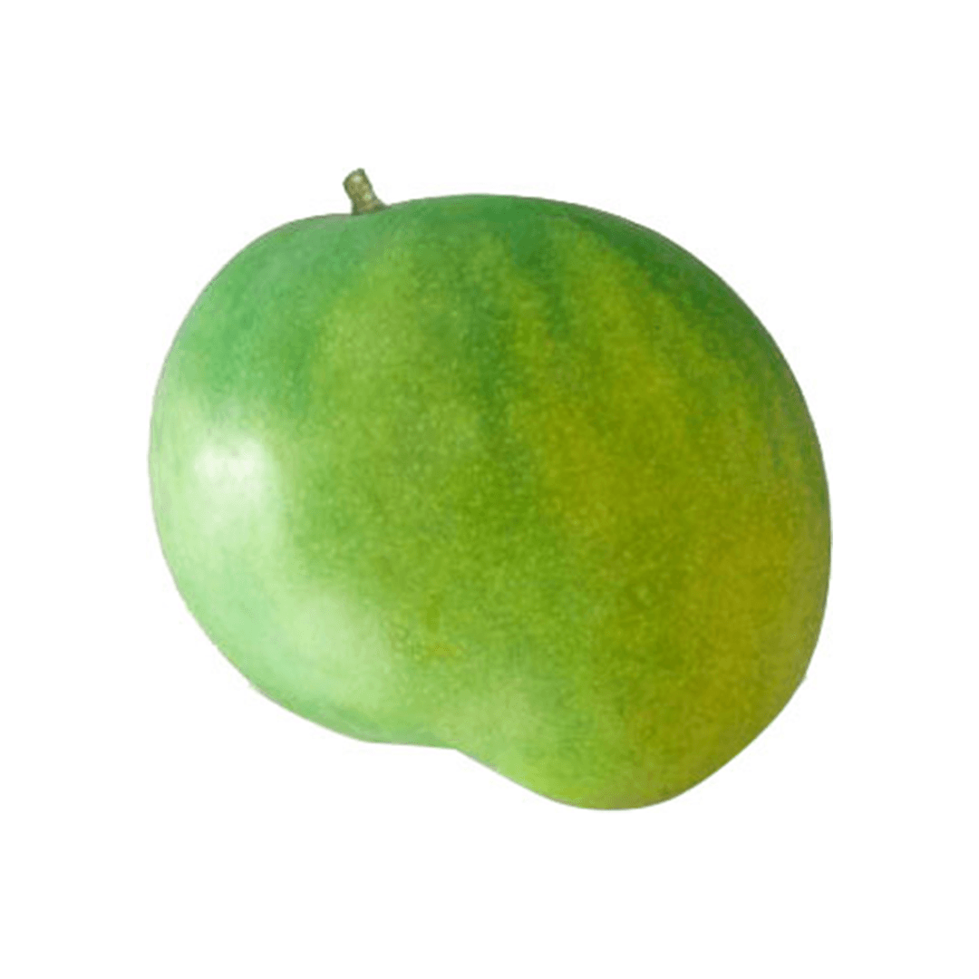 Manga Coité Unidade | Aproxim. 520g